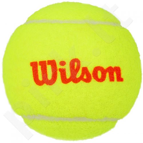 Teniso kamuoliukai Wilson Starter Orange Tball Junior 48 vnt. - Pirk.lt parduotuvė