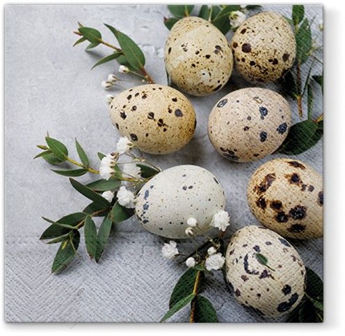 Servetėlės Natural Eggs - Pirk.lt parduotuvė